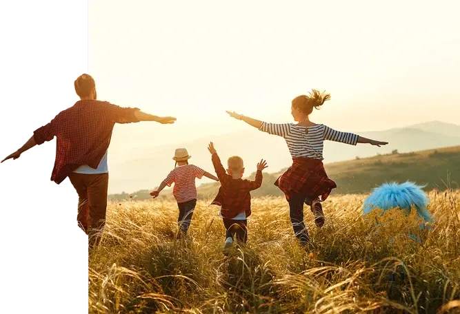 LIA Assurex | Insurance solutions tailored to your every need